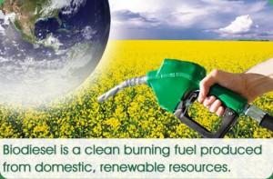 Properties and advantages of Biodiesel - Polytechnic Hub